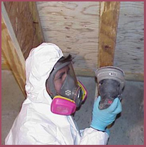 Mold - Orange County Eviction Service